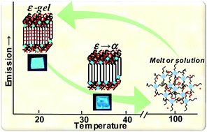 Poly(l-lactide)s with tetraphenylethylene: role of polymer chain ...
