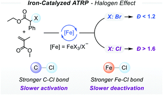 Effect of halogen and solvent on iron-catalyzed atom transfer radical ...