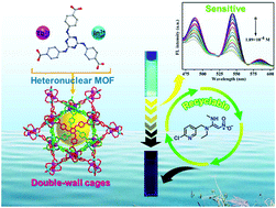 Effective nitenpyram detection in a dual-walled nitrogen-rich In(iii ...