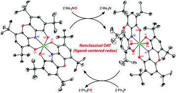 Nonclassical oxygen atom transfer reactions of an eight-coordinate ...