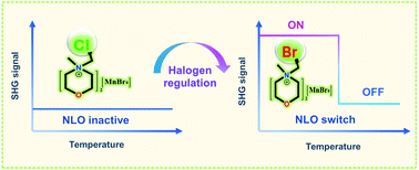 Halogen regulation triggers NLO and dielectric dual switches in hybrid ...