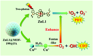 Rational fabrication of a two-photon responsive metal–organic framework ...