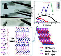 Ionic conductivity and dielectric properties of bulk SPP-PEG hydrogels ...