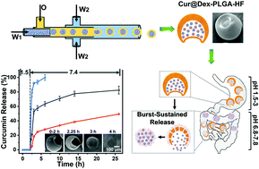 One-step prepared nano-in-micro microcapsule delivery vehicle with ...