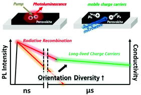 Controlling the charge carrier dynamics by modulating the orientation ...