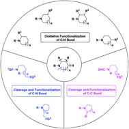 Recent advances in the functionalization of saturated cyclic amines ...