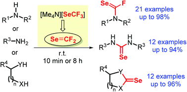 Facile synthesis of selenocarbamyl fluorides, selenoureas and their ...