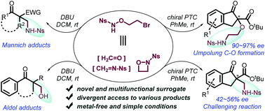 N-Nosyl-O-bromoethyl hydroxylamine acts as a multifunctional ...
