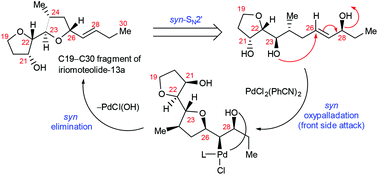 Synthesis of the C19–C30 bis-THF fragment of iriomoteolide-13a via ...