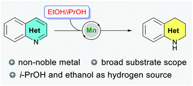 Transfer hydrogenation of N-heteroarenes with 2-propanol and ethanol ...
