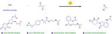 Acetylation of alcohols and amines under visible light irradiation ...