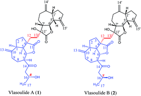 Vlasoulides A and B, a pair of neuroprotective C32 dimeric ...