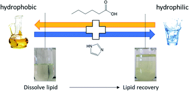 Eutectic solvents with tuneable hydrophobicity: lipid dissolution and ...