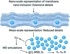 An efficient approach to study membrane nano-inclusions: from the ...