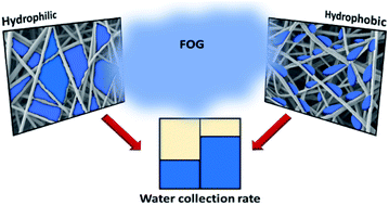 The importance of nanofiber hydrophobicity for effective fog water ...