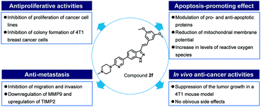 Synthesis and biological evaluation of indazole derivatives as anti ...