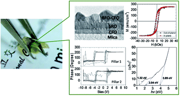 Formation and physical properties of the self-assembled BFO–CFO ...