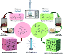 A highly efficient microwave-assisted synthesis of an LED-curable ...