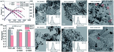 Enhanced PEMFC durability with graphitized carbon black cathode ...