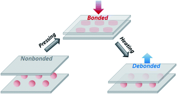 Harnessing reversible dry adhesion using shape memory polymer ...
