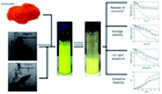 Curcumin encapsulation in Pickering emulsions co-stabilized by starch ...