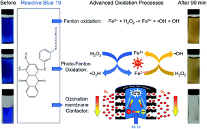 Efficient reactive blue 19 decolorization by the comparison of ...