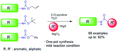 Practical one-pot amidation of N-Alloc-, N-Boc-, and N-Cbz protected ...
