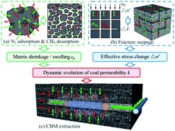 A dynamic evolution model of coal permeability during enhanced coalbed methane recovery by N2 ...