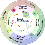 Droplet flow cytometry for single-cell analysis - RSC Advances (RSC Publishing)