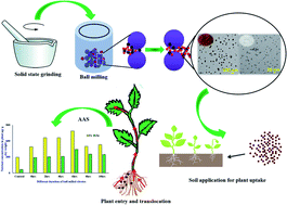 Metal citrate nanoparticles: a robust water-soluble plant micronutrient ...