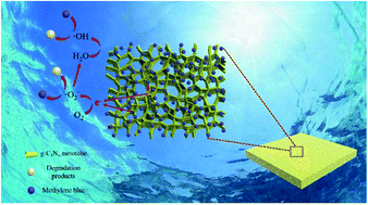 Tubular g-C3N4/carbon framework for high-efficiency photocatalytic ...