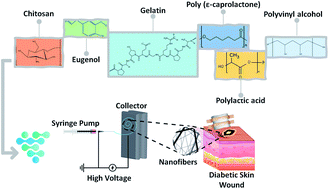 Electrospun and co-electrospun biopolymer nanofibers for skin wounds on ...