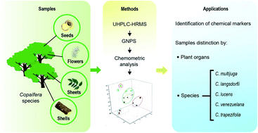 UHPLC-HRMS/MS on untargeted metabolomics: a case study with Copaifera (Fabaceae) - RSC Advances ...
