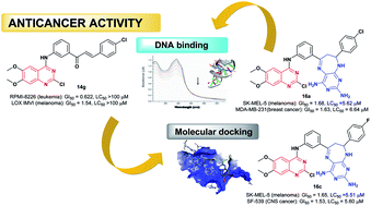 Anticancer activity of pyrimidodiazepines based on 2-chloro-4 ...