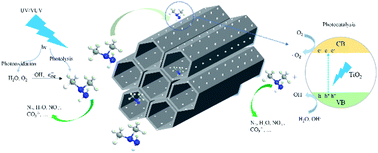 Photocatalytic degradation of unsymmetrical dimethylhydrazine on TiO2 ...