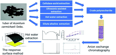 Study on extraction methods of polysaccharides from a processed product ...