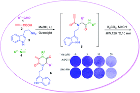 Facile synthesis and biological evaluation of tryptamine-piperazine-2,5 ...