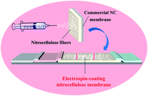Modification of a nitrocellulose membrane with nanofibers for ...