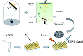 Fabrication of Ag@Au (core@shell) nanorods as a SERS substrate by the oblique angle deposition ...