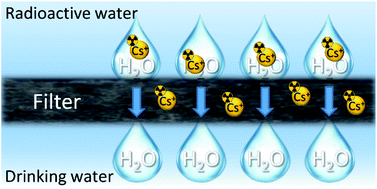 Removal of radioactive cesium from contaminated water by whey protein ...