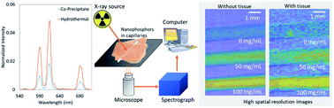 X-ray excited luminescence spectroscopy and imaging with NaGdF4:Eu and Tb - RSC Advances (RSC ...