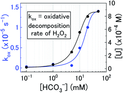 The kinetics and mechanism of H2O2 decomposition at the U3O8 surface in ...