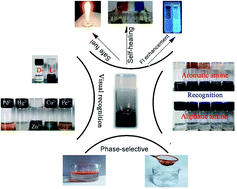 Novel self-healing and multi-stimuli-responsive supramolecular gel ...