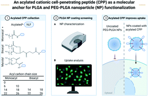 A comparison of acyl-moieties for noncovalent functionalization of PLGA ...
