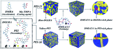 Phase separation of ternary epoxy/PEI blends with higher molecular ...