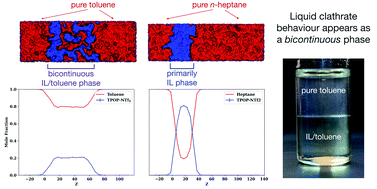 Understanding liquid–liquid equilibria in binary mixtures of ...