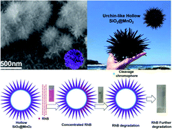 Urchin-like hollow SiO2@γ-MnO2 microparticles for the rapid degradation ...