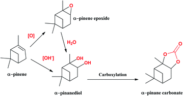 Synthesis of cyclic α-pinane carbonate – a potential monomer for bio ...