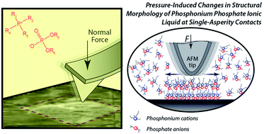 In situ nanoscale evaluation of pressure-induced changes in structural ...