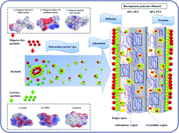 Kinetics study of dyeing bicomponent polyester textiles (PET/PTT) using ...